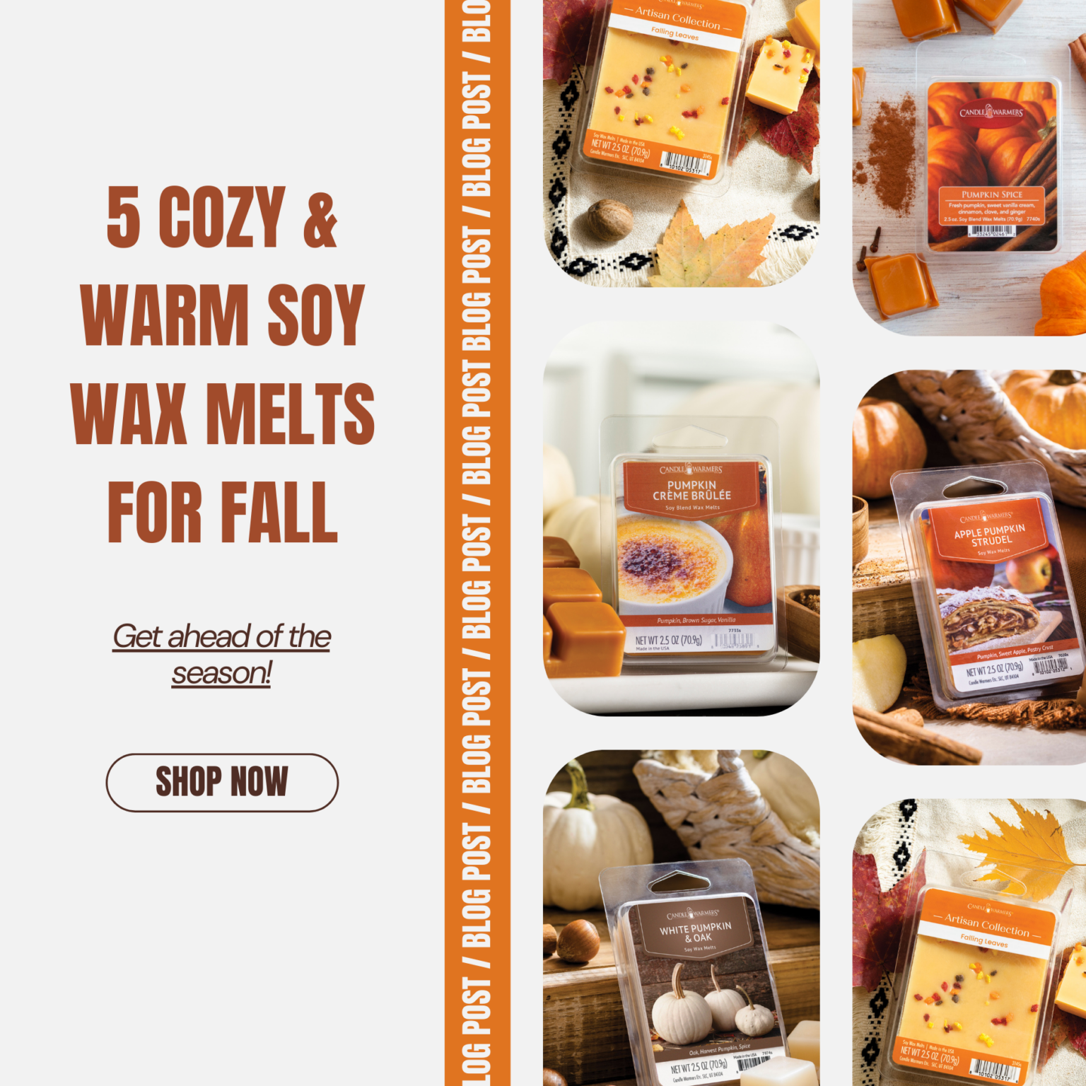 5 Cozy and Warm Soy Wax Melts For Fall | Candle Warmers