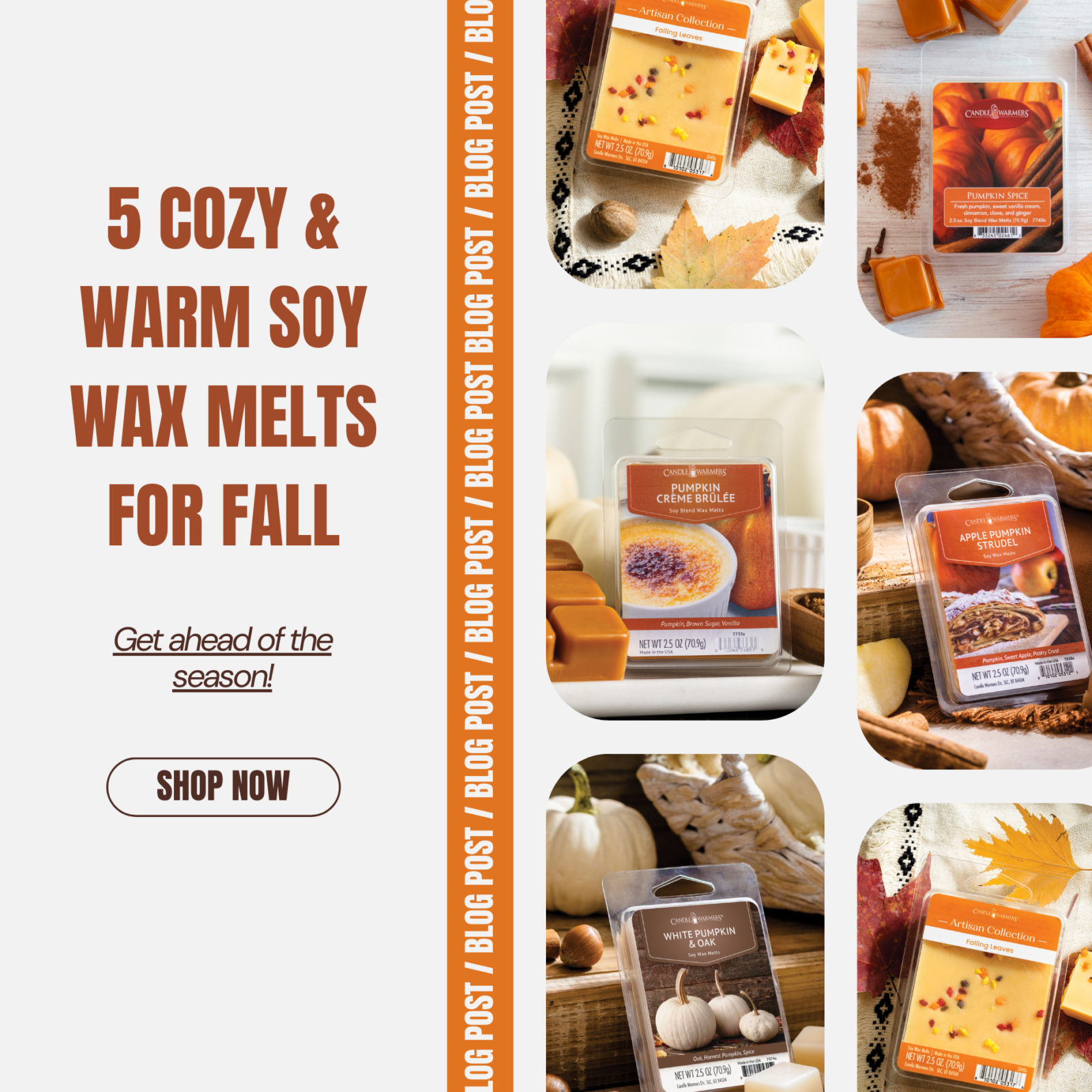 5 Cozy and Warm Soy Wax Melts For Fall | Candle Warmers
